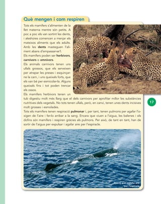 Ud animals barcanova | PDF