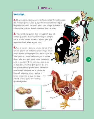 Ud animals barcanova | PDF
