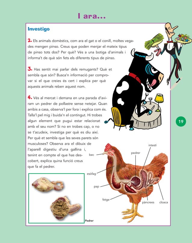 Ud animals barcanova | PDF