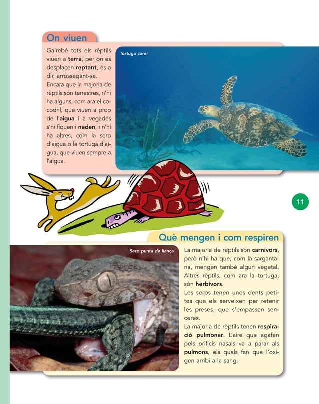 Ud animals barcanova | PDF