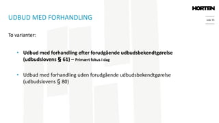 Udbudsmateriale version 2.0 - Vejbelysning | PDF