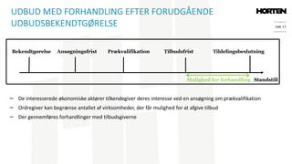 Udbudsmateriale version 2.0 - Vejbelysning | PDF