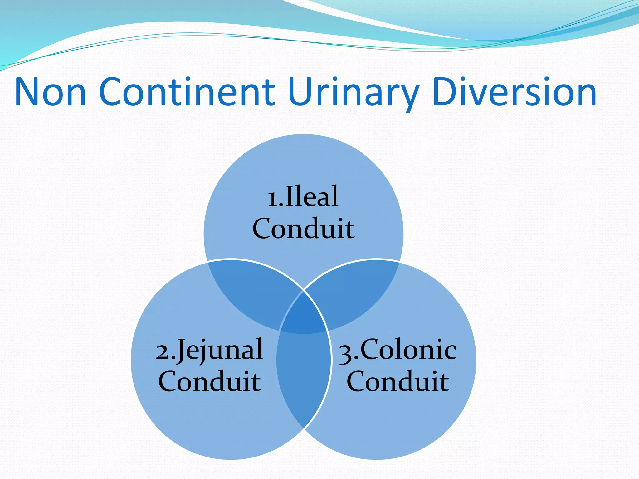 Urinary diversion by dr burhan kaydawla | PPTX