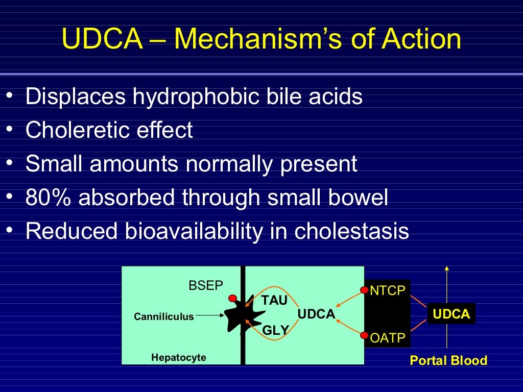 UDCA