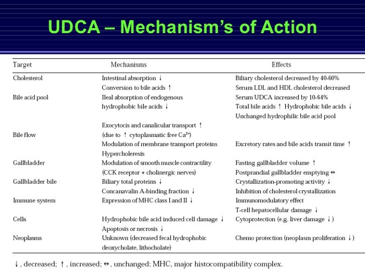 UDCA