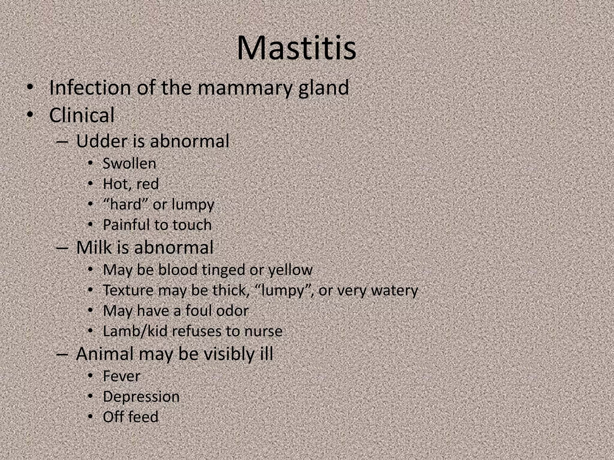 Udder health in ewes and does | PPTX