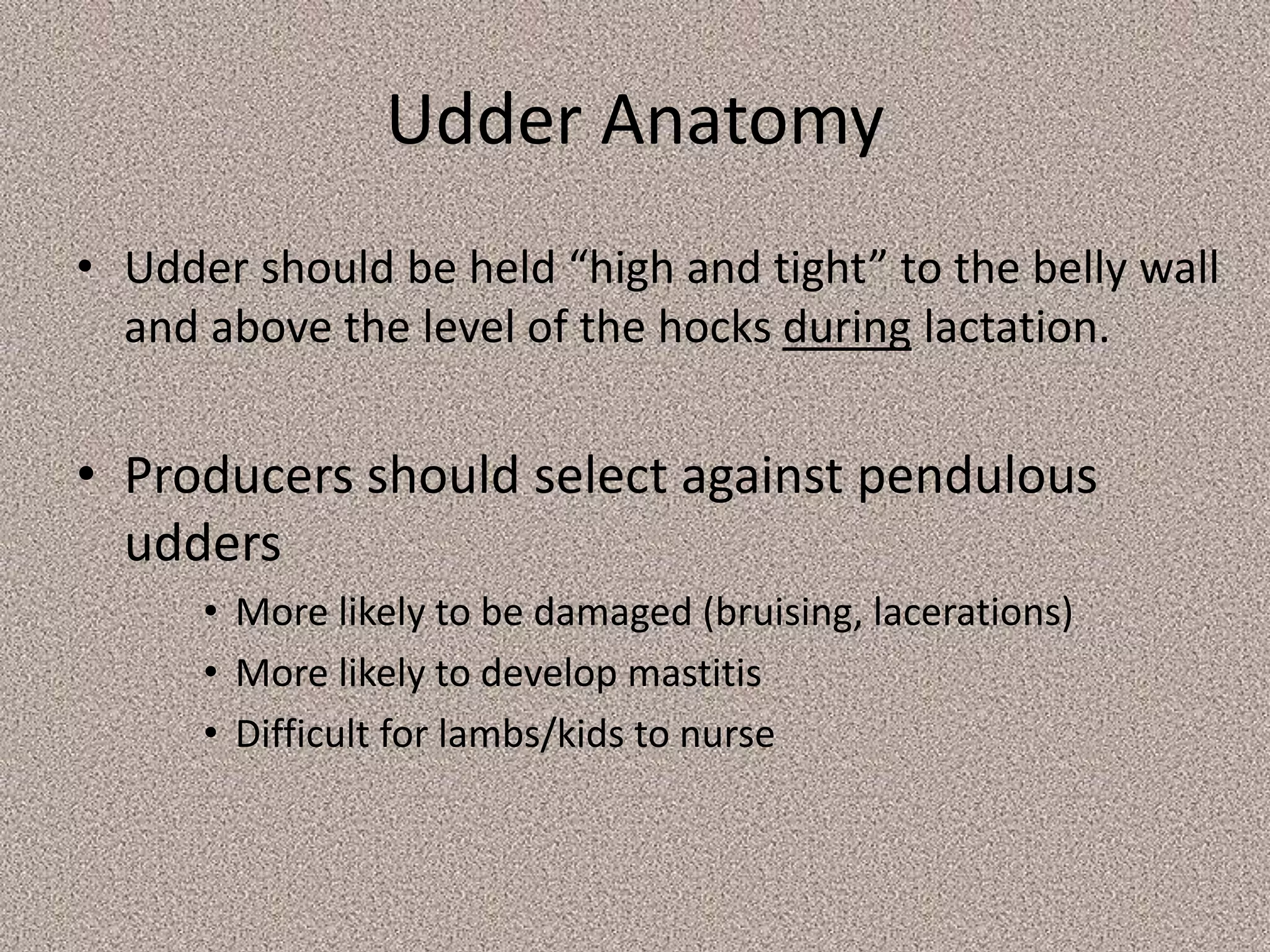 Udder health in ewes and does | PPTX