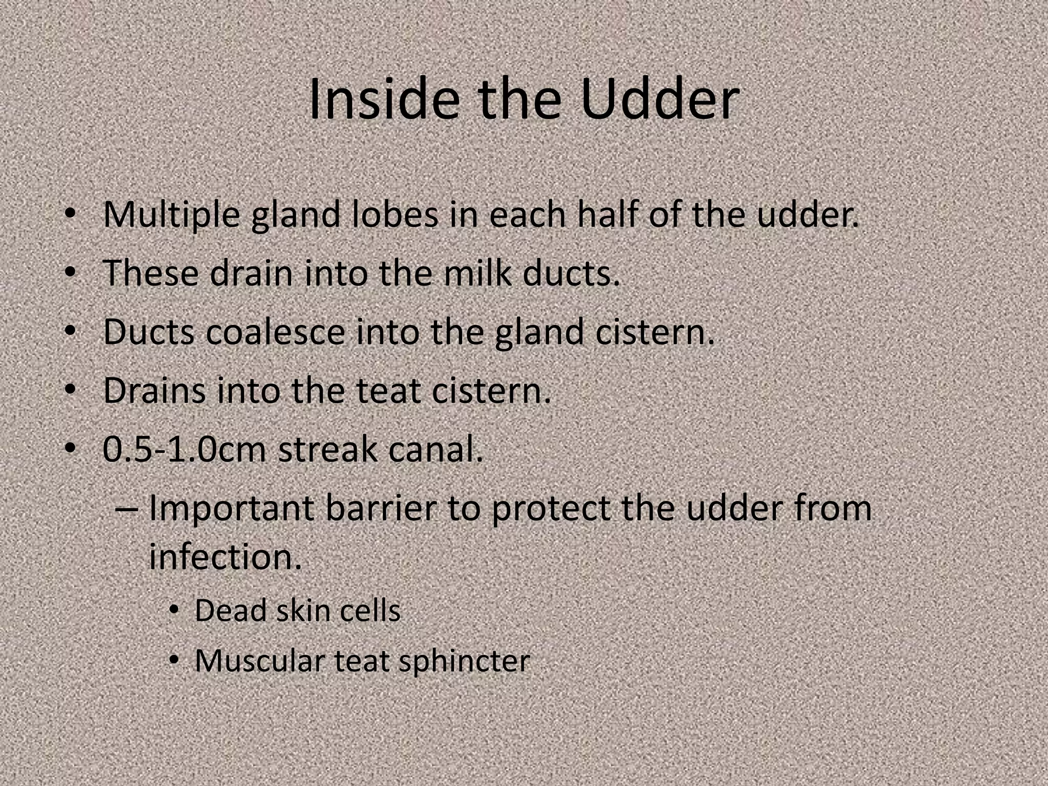 Udder health in ewes and does | PPTX