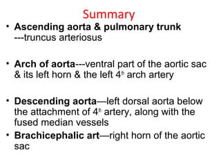 Development of arterial system | PPT