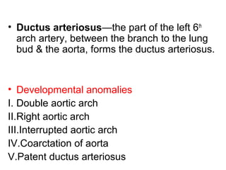 Development of arterial system | PPT