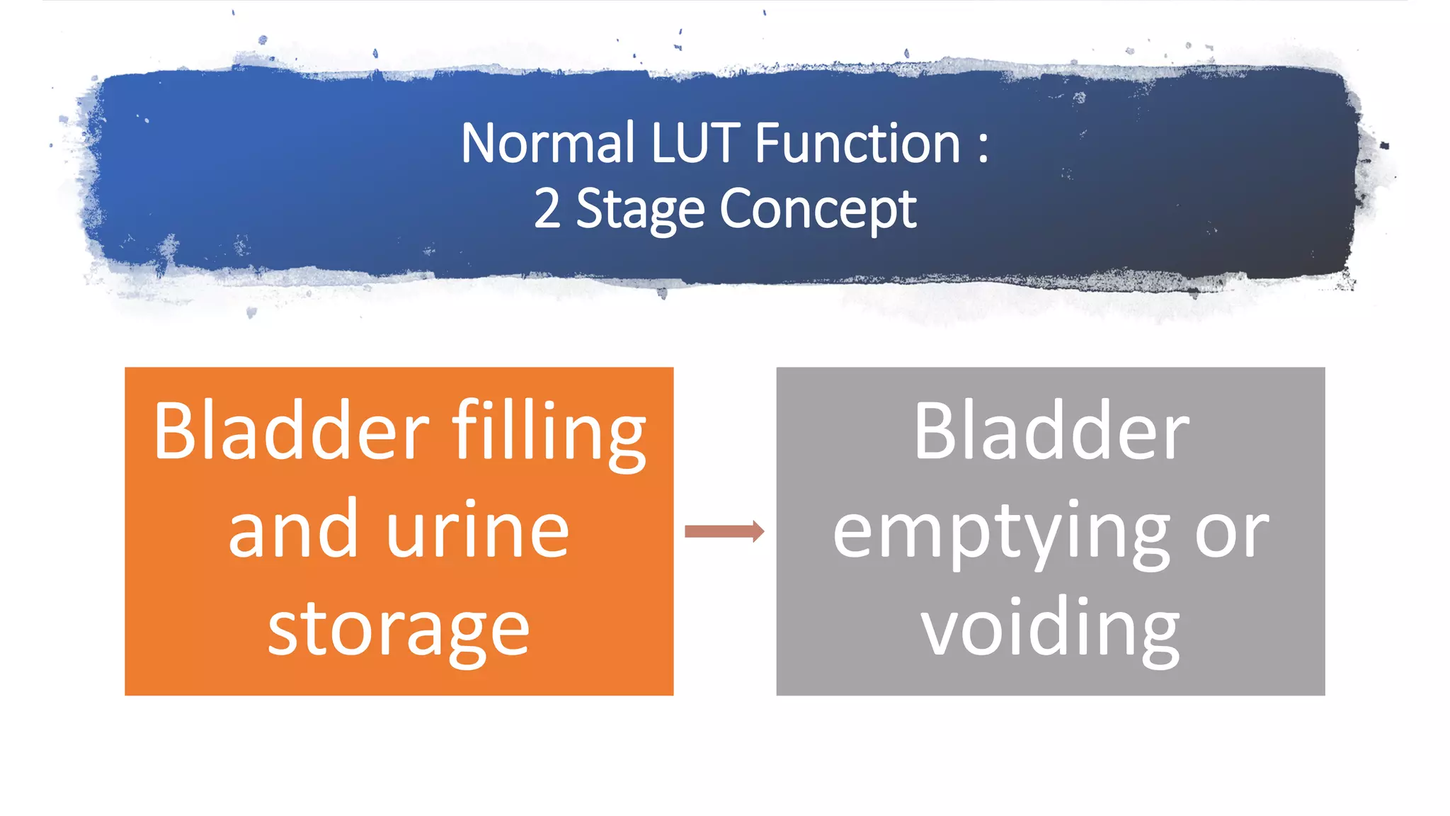 Ude (urodynamic evaluation) | PPT