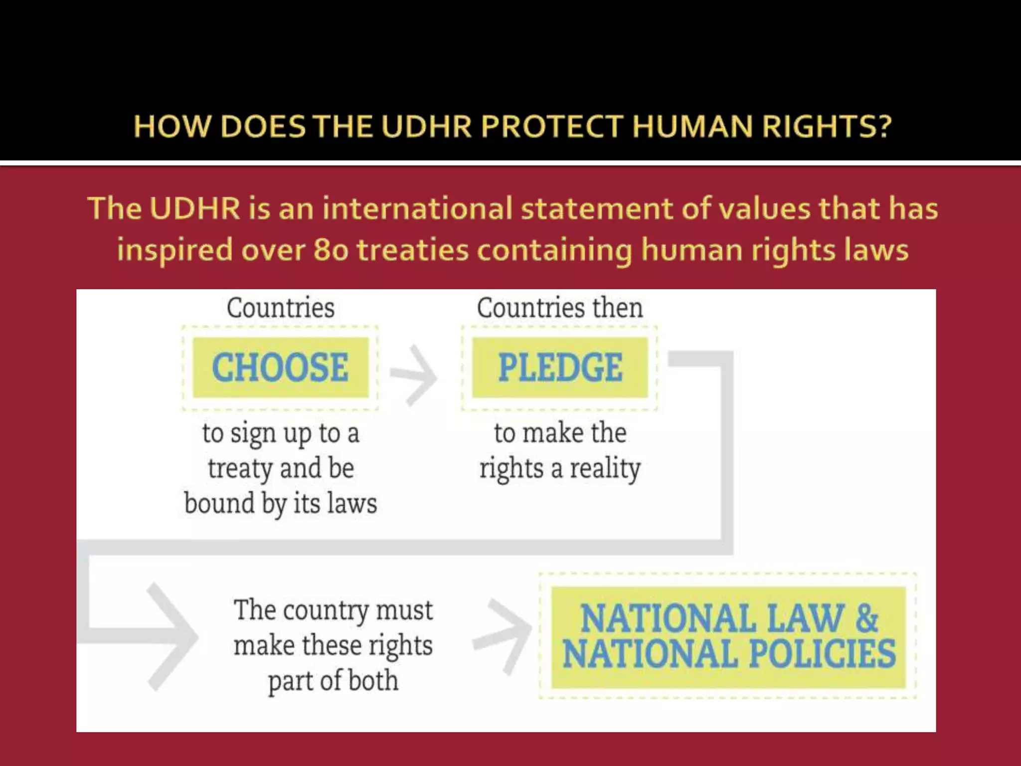 UDHR.pptx