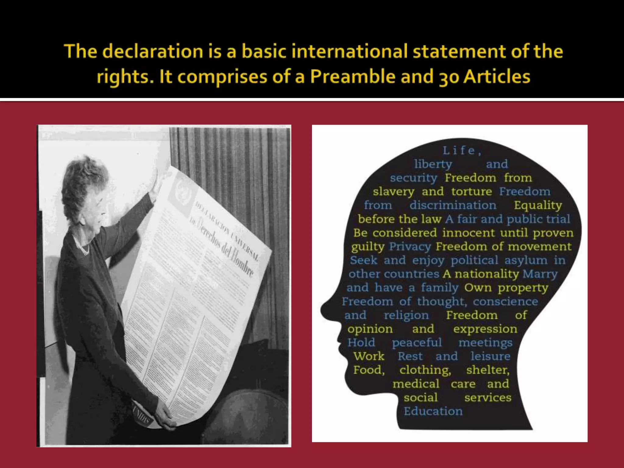 UDHR.pptx