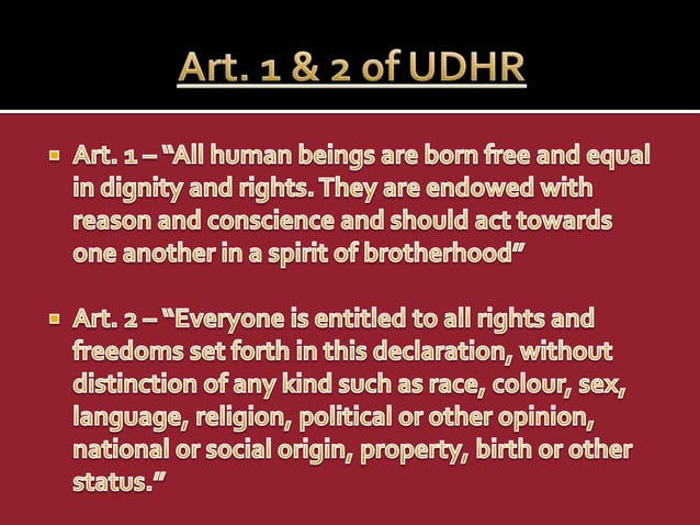 UDHR.pptx