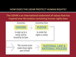 UDHR.pptx
