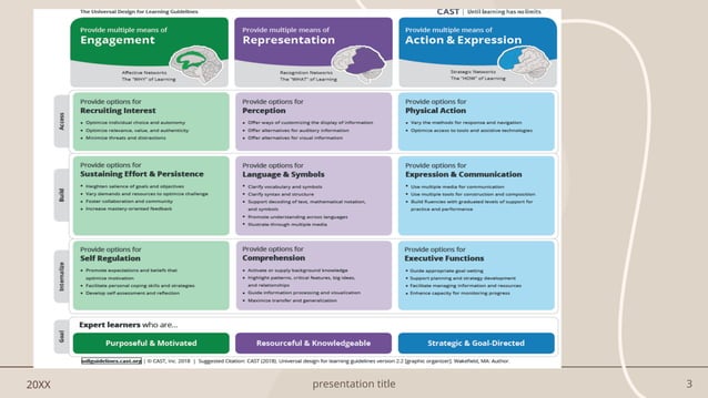 Universal Design for Learning - three principles | PPTX