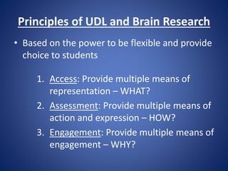UDL Presentation | PPTX