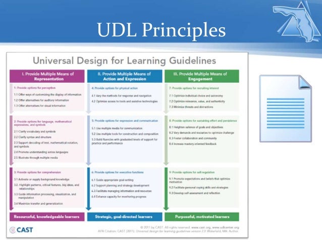 UDL - The Three Principles