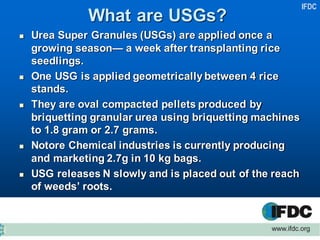 UDP and Rice Production in Nigeria: The Experience So Far | PDF