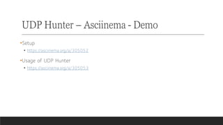 UDP Hunter | PPT