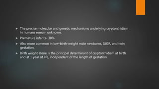 Cryptorchidism In Humans