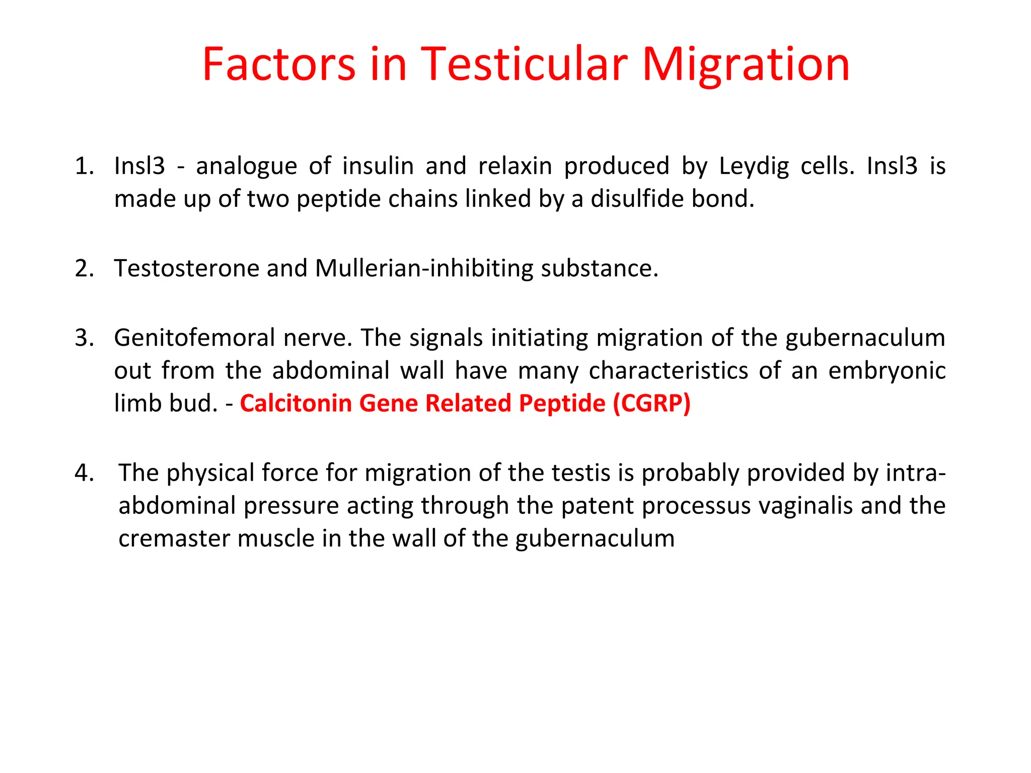 Undescended Testis Basics and Advanced.pptx