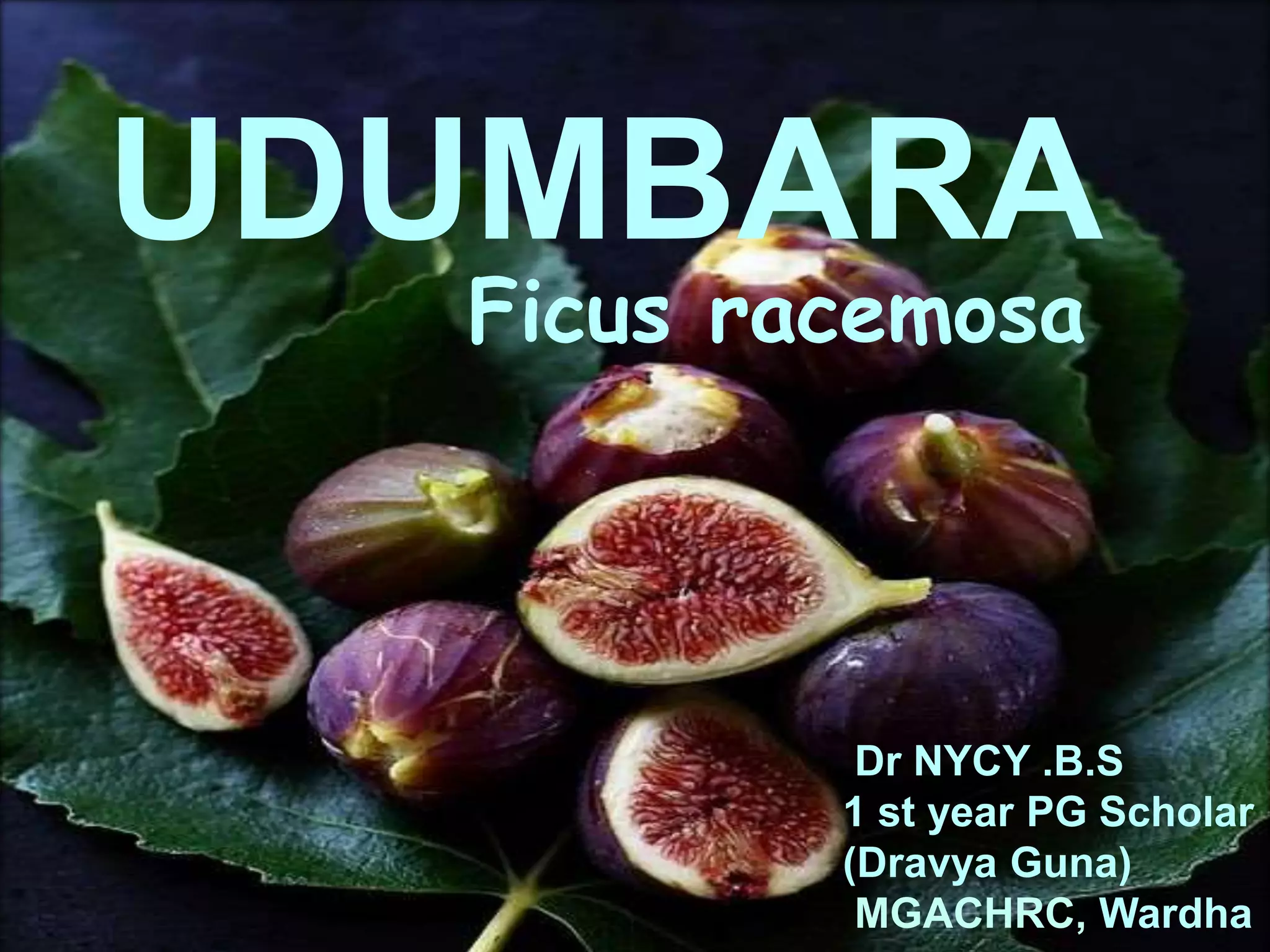 Udumbara in Management of Vidradi | PPTX