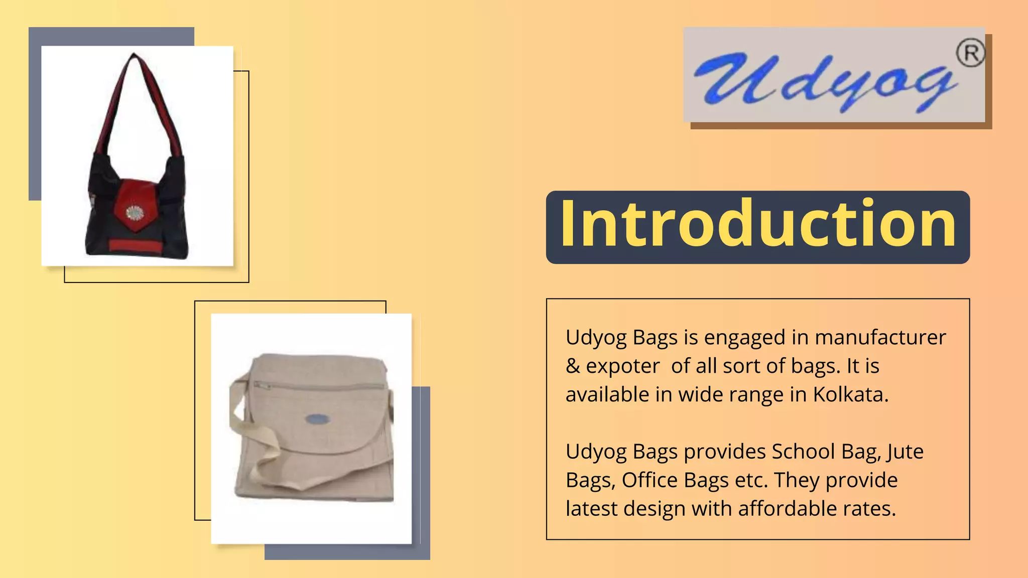 Udyog Bags final PPT.pptx