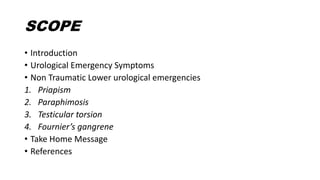Urological Emergencies | PPTX
