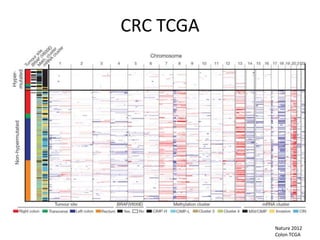 Immunotherapy for Colorectal Cancer | PPTX