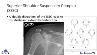 Scapula Fractures classification and manegment | PDF