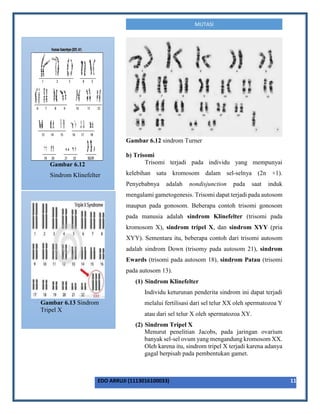 buku materi tentang mutasi | PDF