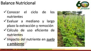 SUELOS Y NUTRICION FENALCE | PPTX