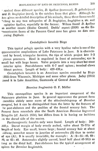 Ueno zooplankton of lago de patzcuaro mexico | PDF