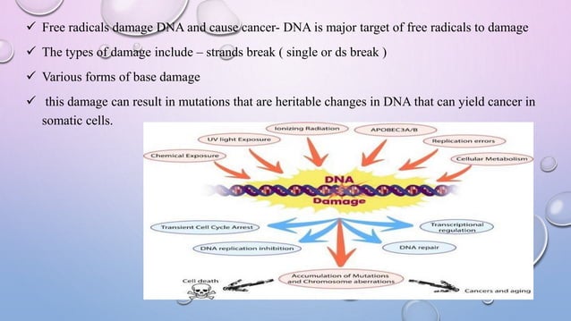 _Role_of_free_radicals_in_cancer M pharmacy Pharmacology | PPTX ...