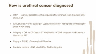 Uerthral cancer and types (transitional) | PPT