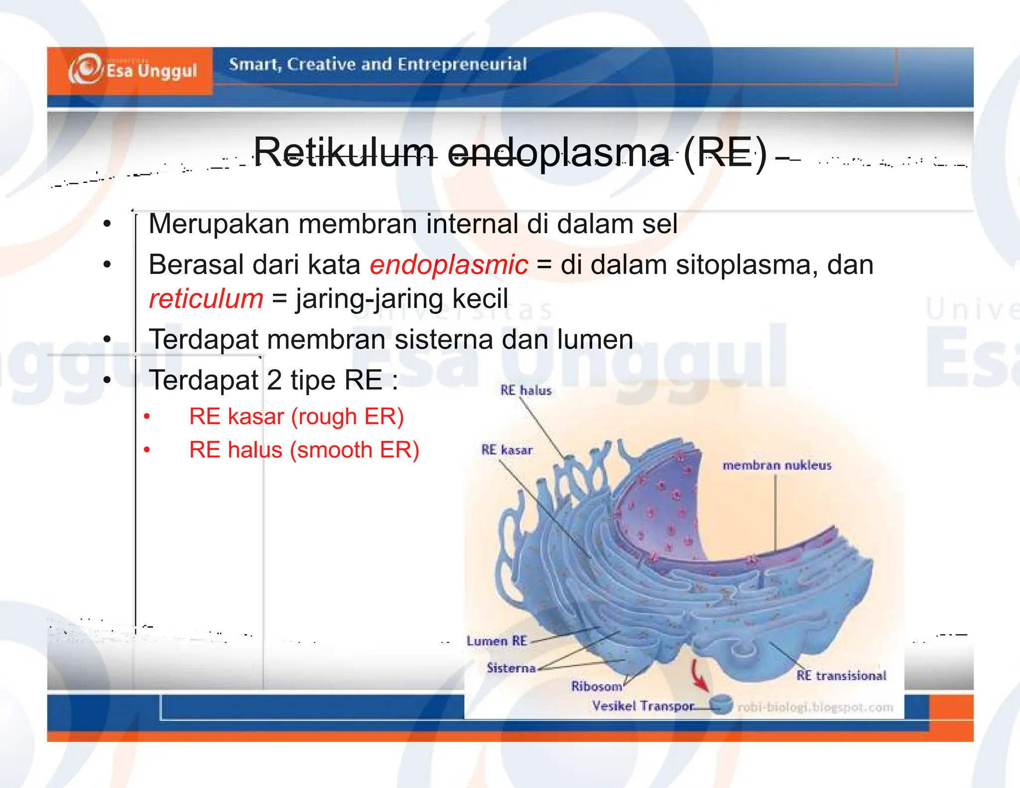 Materi biologi Sel dan organel makhluk hidup.pdf