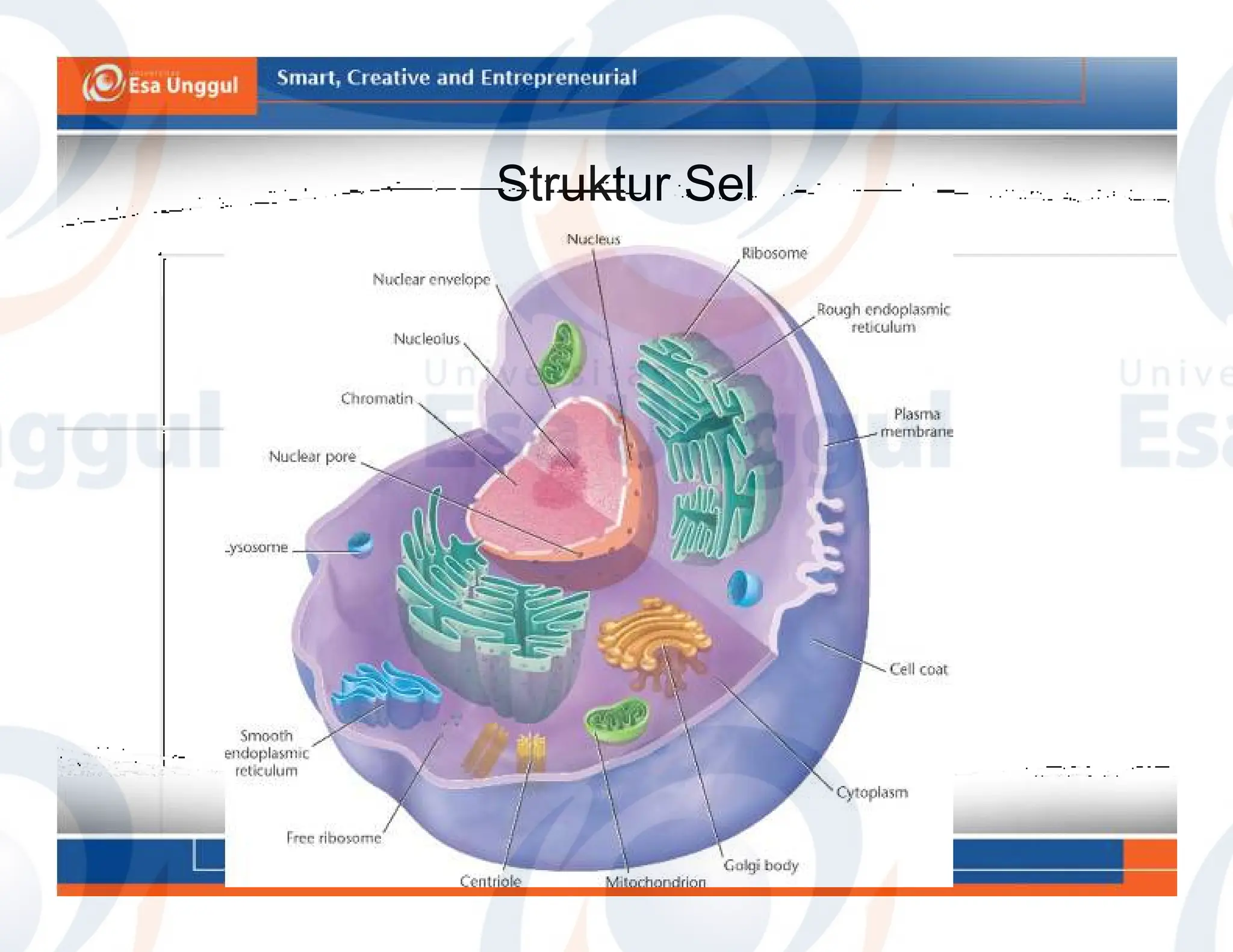 Materi biologi Sel dan organel makhluk hidup.pdf