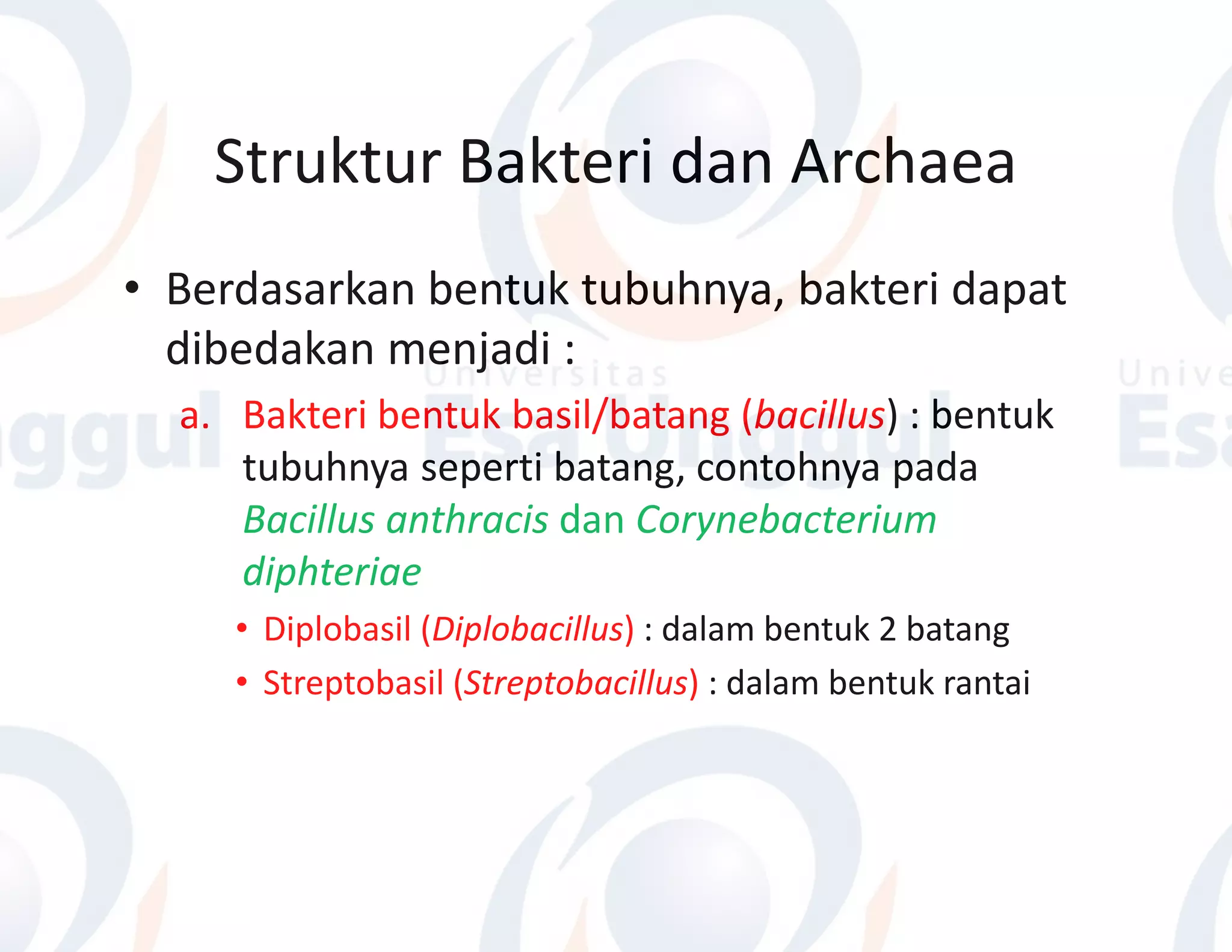 Struktur Mikroba | PDF