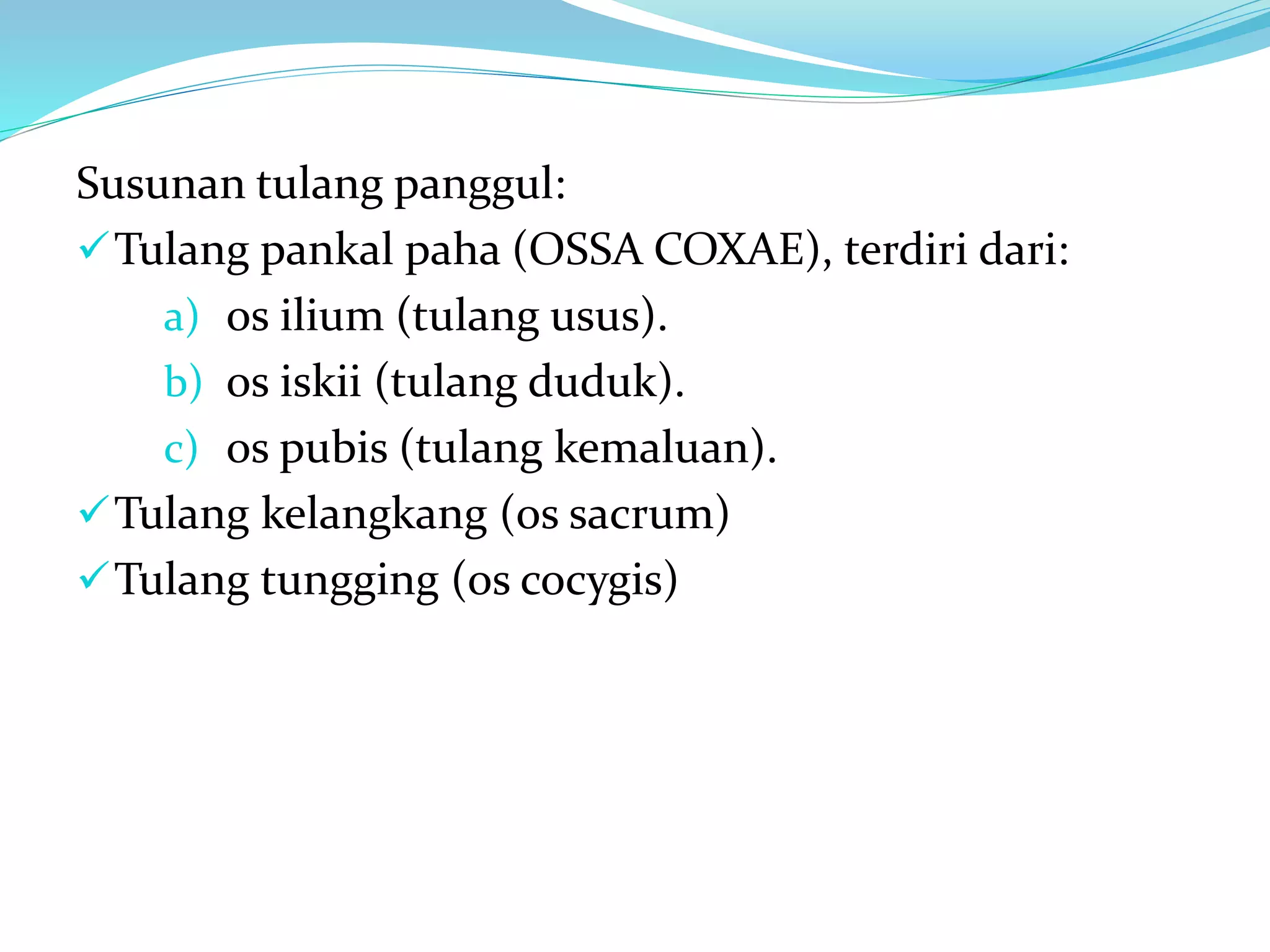 Sistem muskuloskeletal (jenuarista, wafa) | PPTX