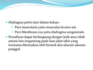 Sistem muskuloskeletal (jenuarista, wafa) | PPTX