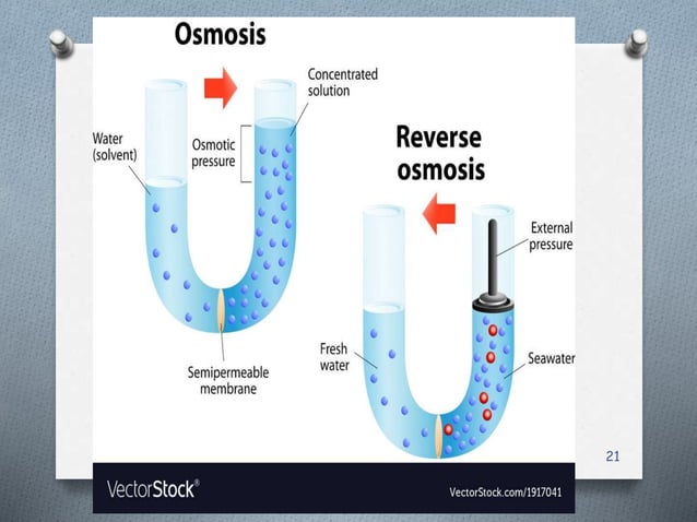 Ultra filtration and reverse osmosis | PPTX