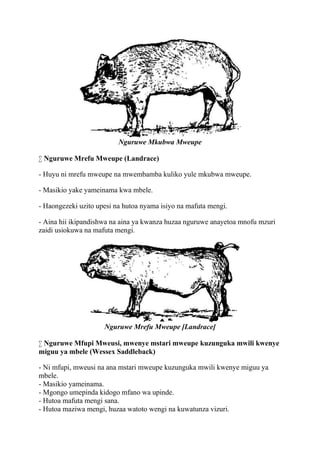 Ufugaji bora-wa-nguruwe | PDF