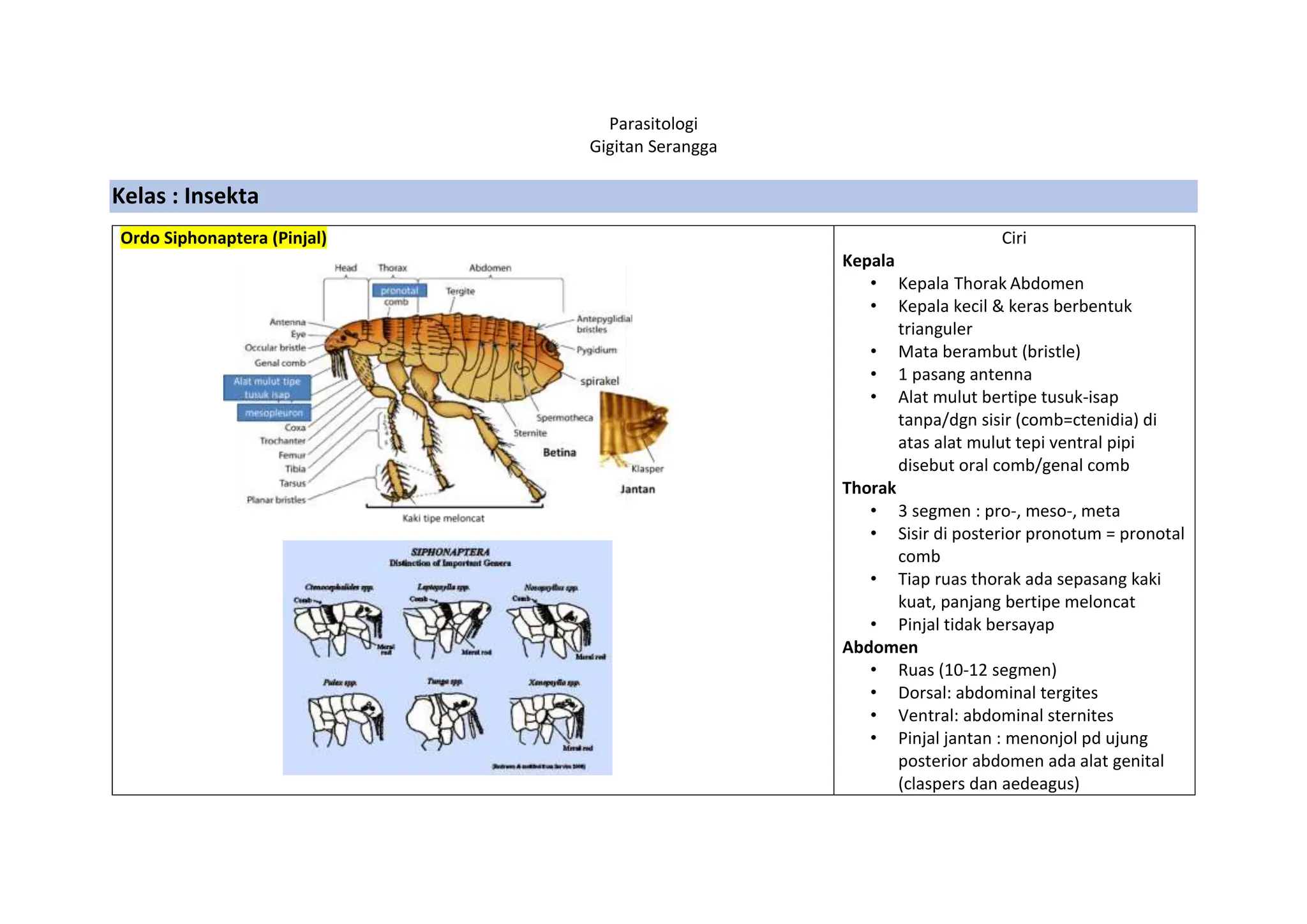 PPT Materi Parasitologi Gigitan Serangga | DOCX
