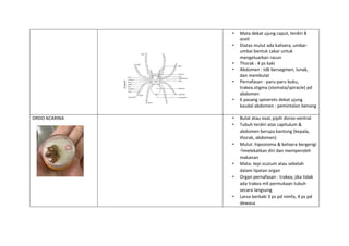 PPT Materi Parasitologi Gigitan Serangga | DOCX