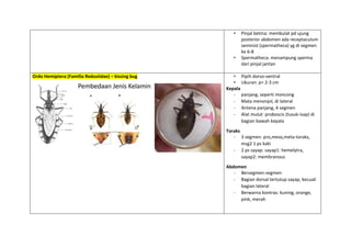 PPT Materi Parasitologi Gigitan Serangga | DOCX