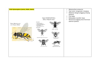 PPT Materi Parasitologi Gigitan Serangga | DOCX