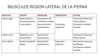 ANATOMIA.pdf