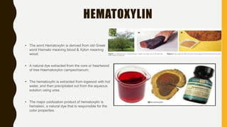 Histotechniques for ug | PPTX