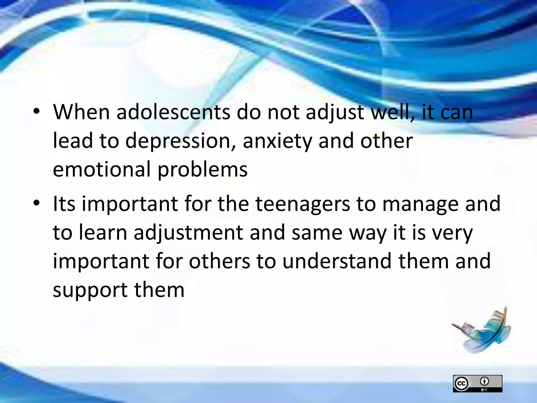 Adolescence : Issues and Concerns | PDF